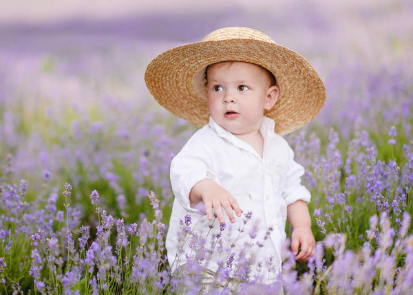 Understanding Camera Lenses (Numbers, Letters & Symbols Explained ...