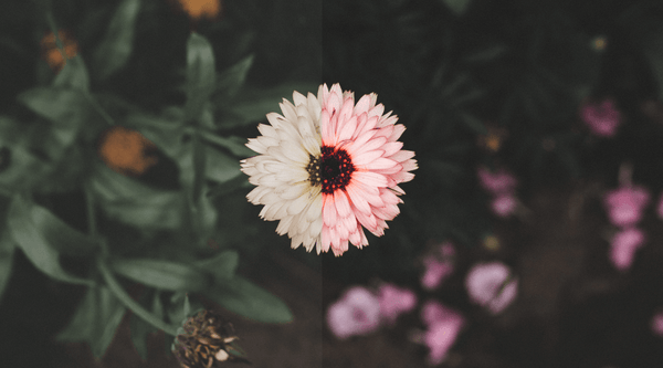 3 Ways to Enhance Color in Photoshop - Pretty Presets for Lightroom