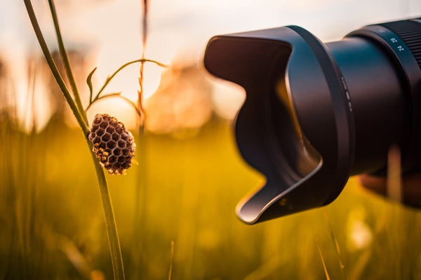 15 Must-Try Photography Hacks to Elevate Your Photos - Pretty Presets ...