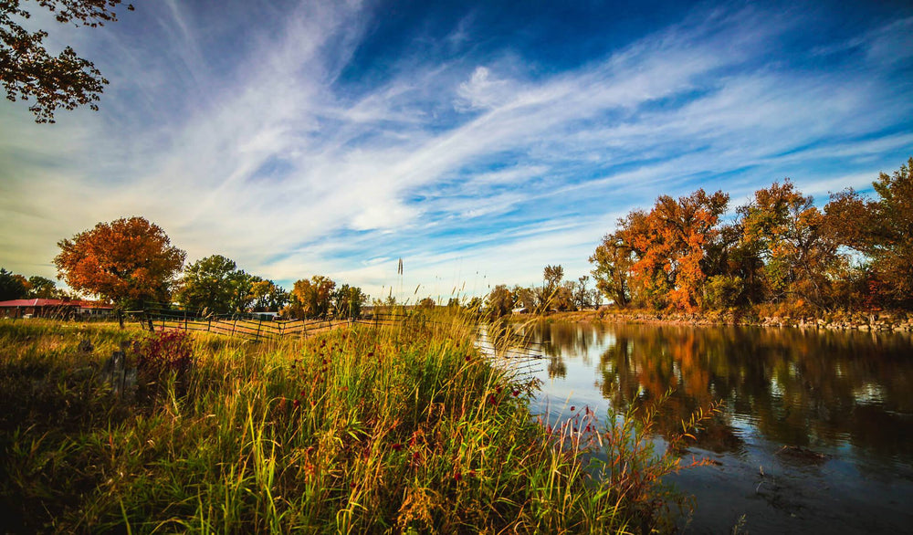 Pretty Lightroom Presets - Pretty Presets for Lightroom